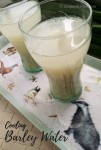 Homemade Barley Drink Recipe - Souper Diaries