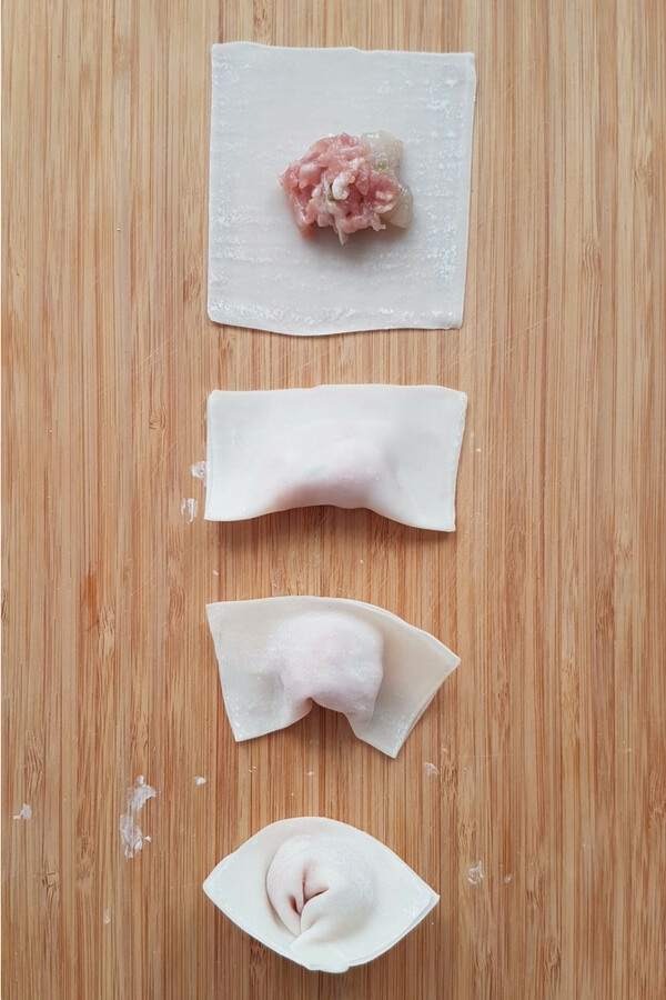 How to Wrap Wonton (Purse, Ingot, Fish & More) - Souper Diaries
